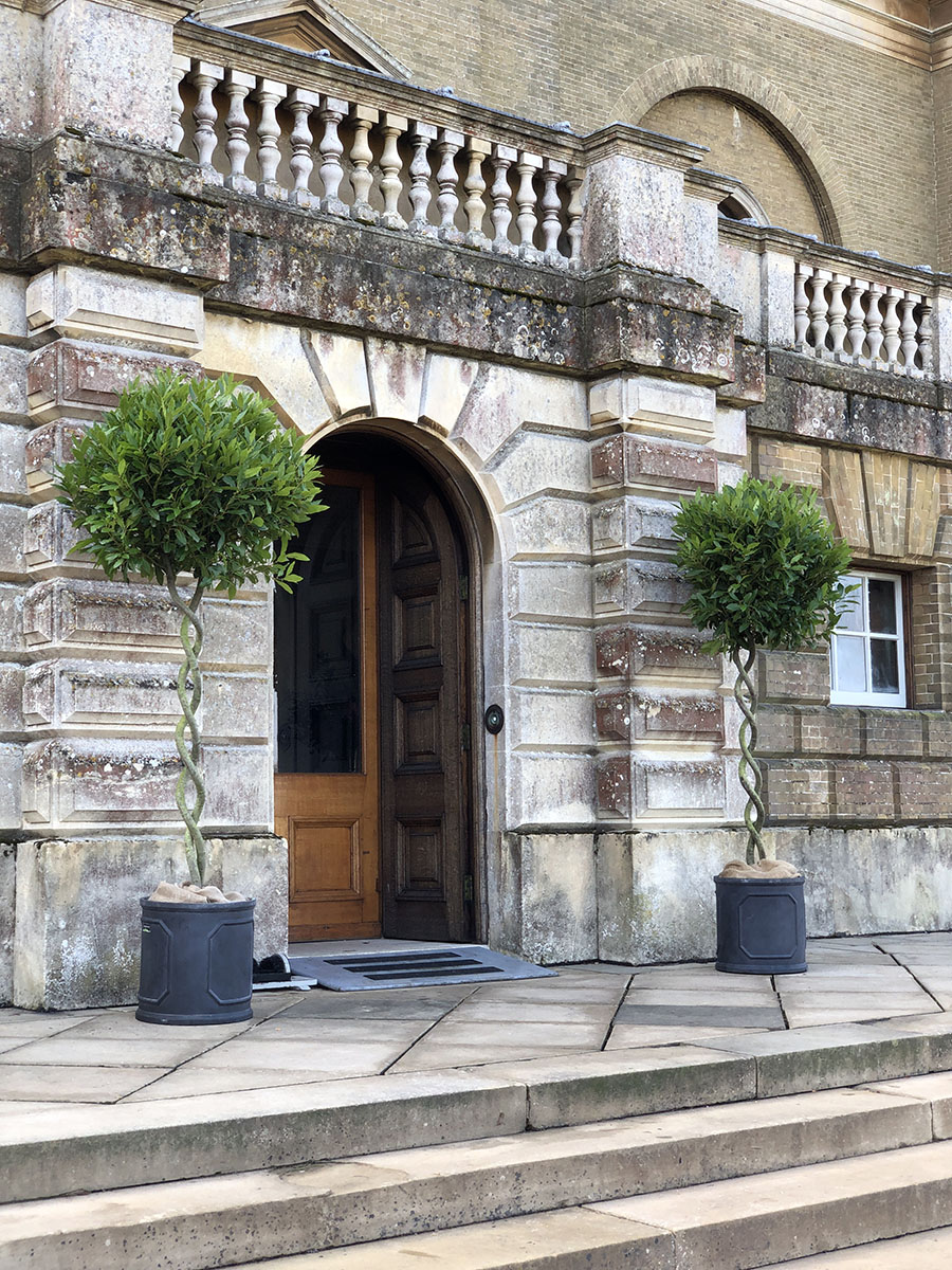 Posh Plants - The Event Company EA Ltd