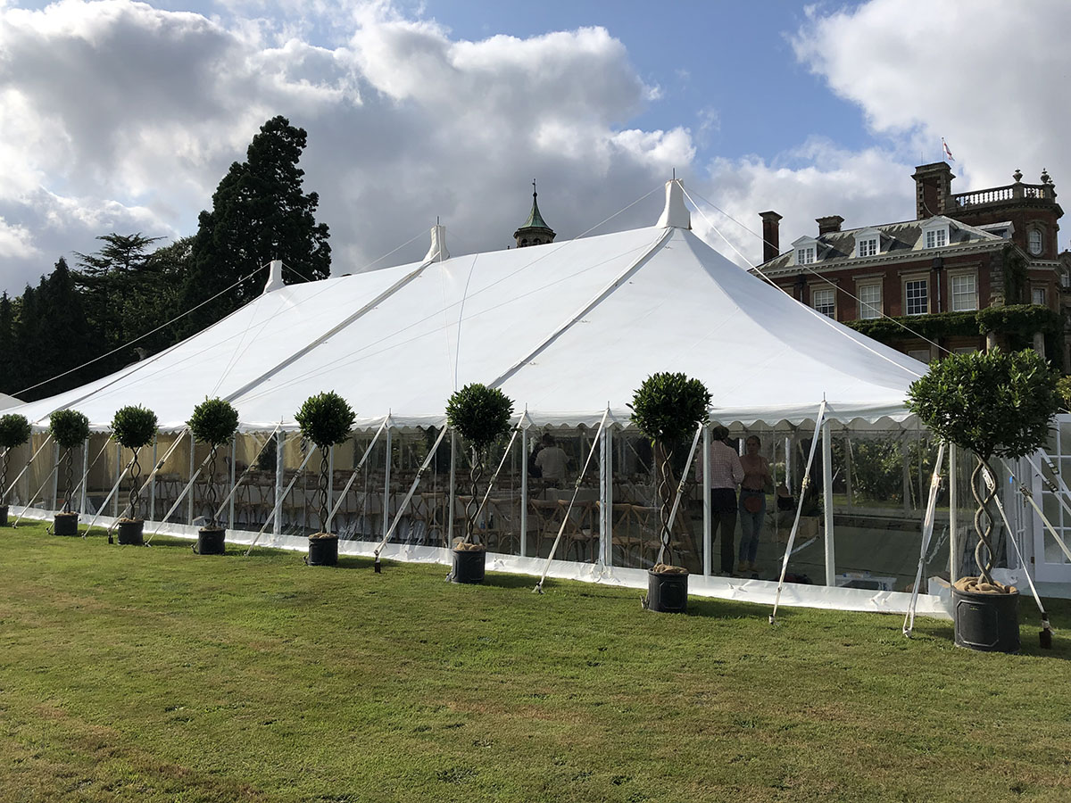 Posh Plants - The Event Company EA Ltd