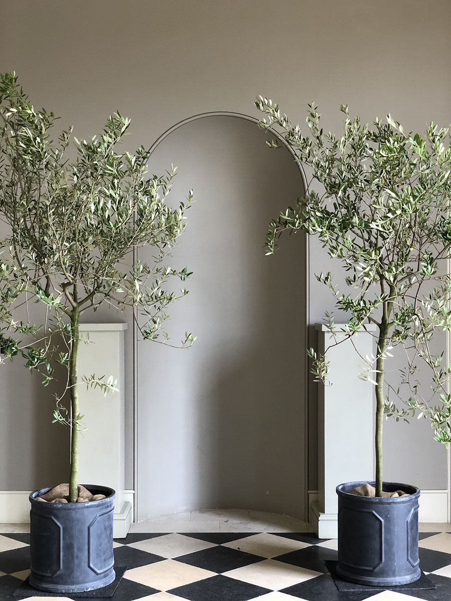 Posh Plants - The Event Company EA Ltd